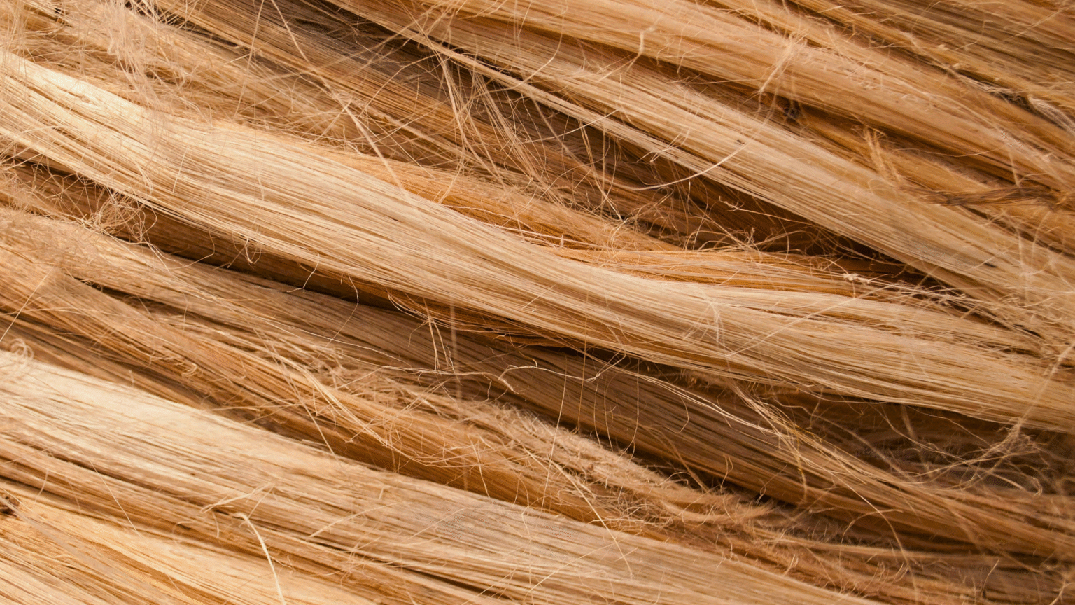 Hemp as Bio-Composite to Revolutionze Our Future - ALT LABS